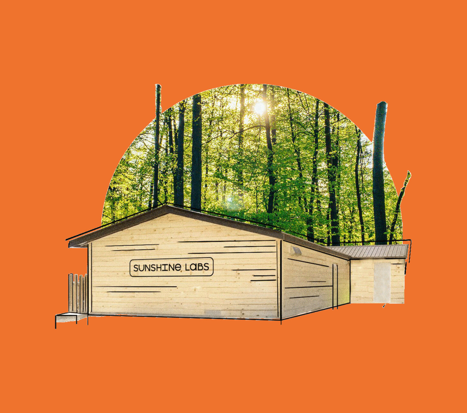 About - Sunshine Labs