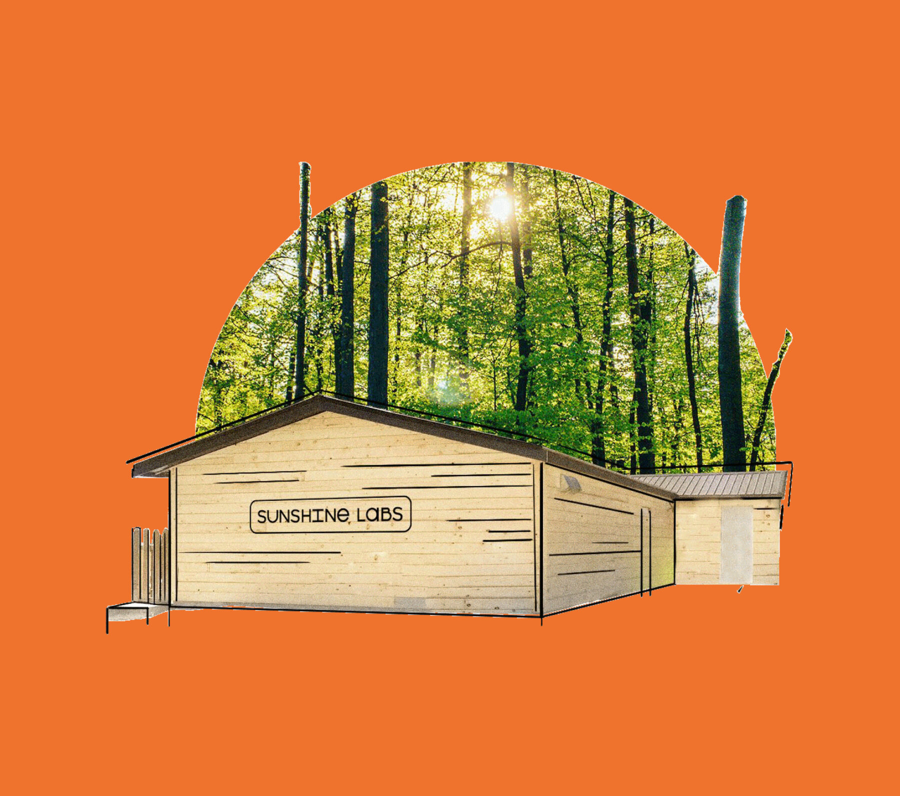 About - Sunshine Labs